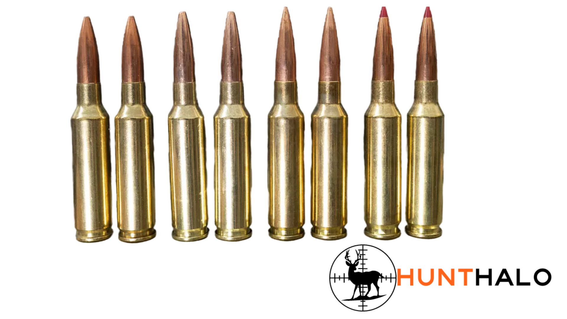 The Showdown: 6.5 Creedmoor vs .308 Winchester Explained - HuntHalo